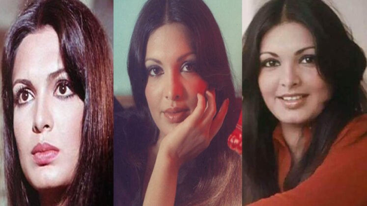 Parveen Babi Death Anniversary: Untold Stories of Bollywood’s Iconic ...